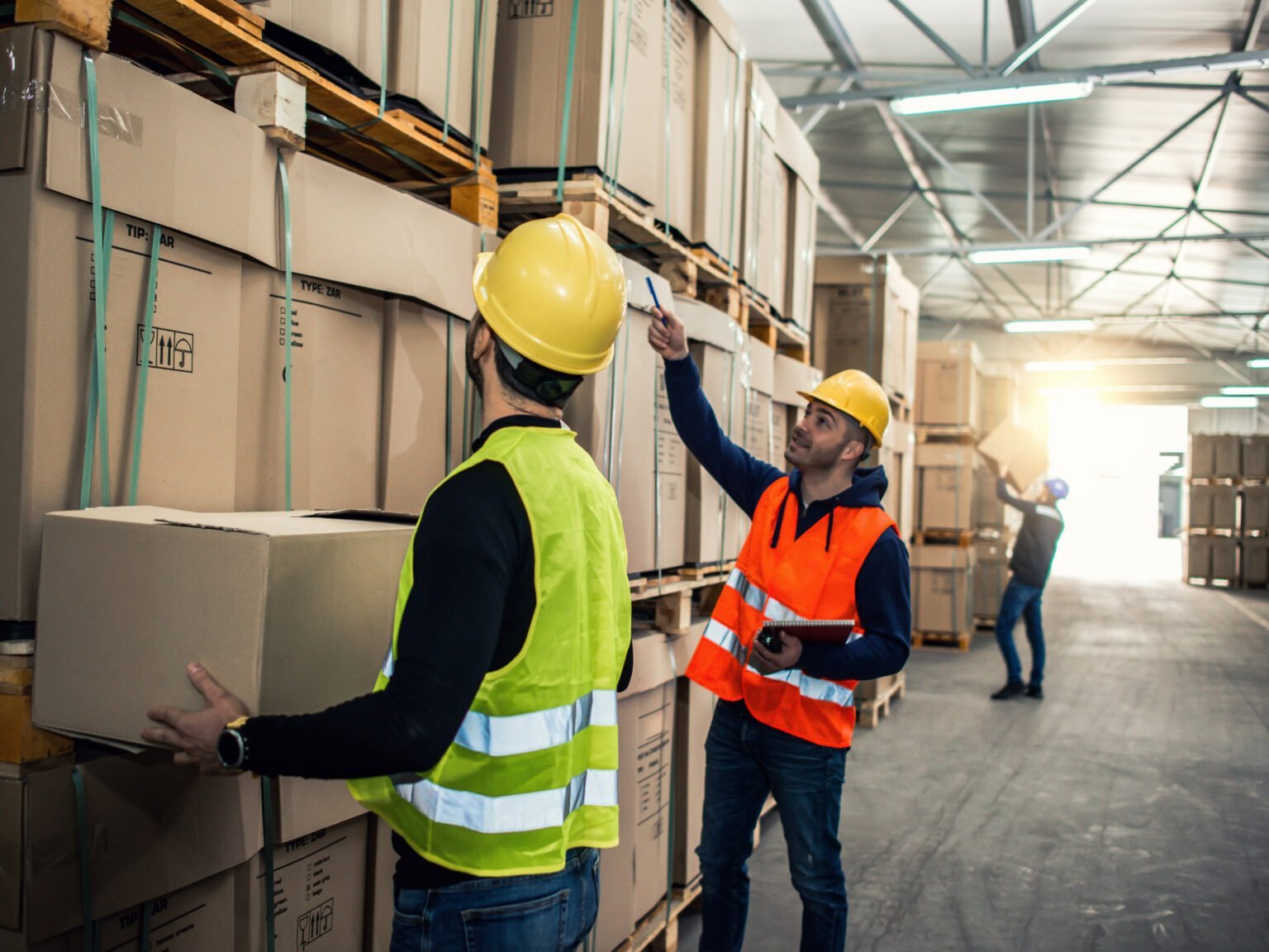 MoveSafe® | Movement Safety