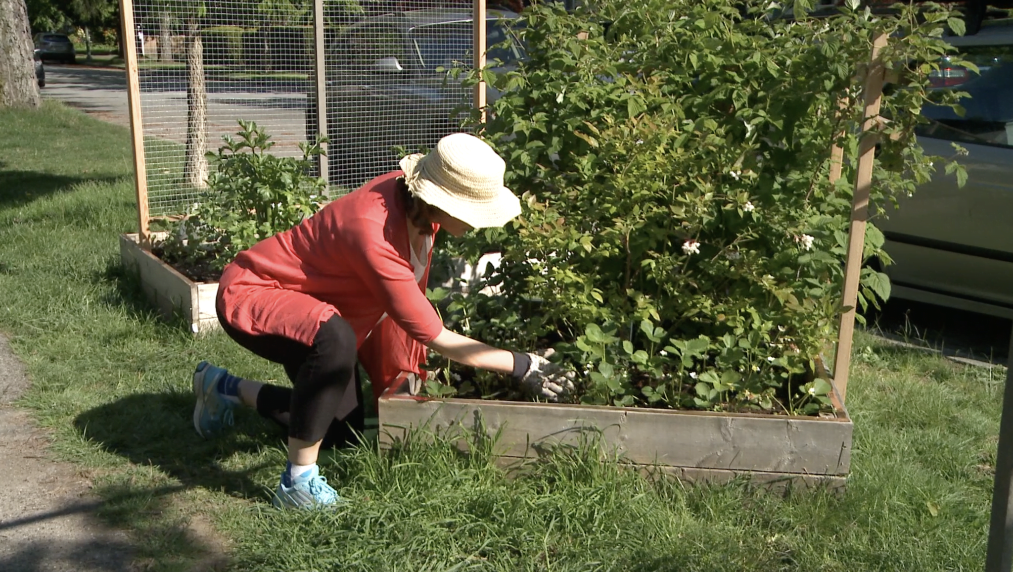 Top 7 Essential Safety Tips for Spring Gardening